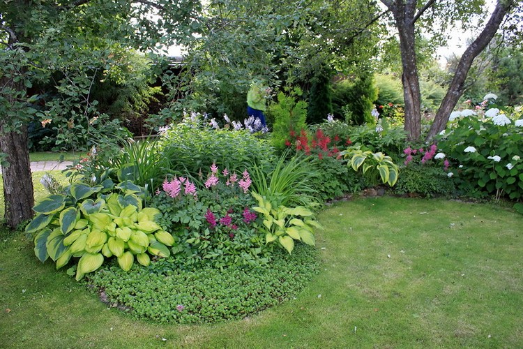 Quelles Esp ces De Plantes D ombre Cultiver Dans Nos Jardins