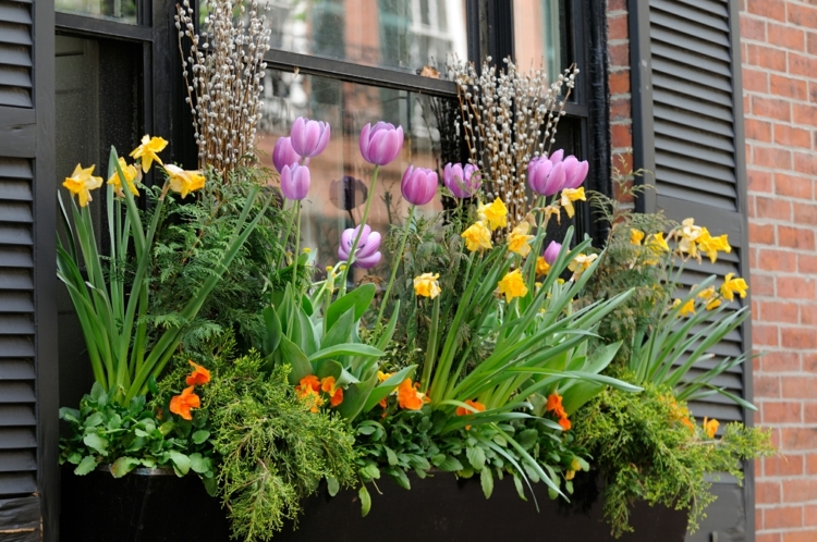 Bac à fleurs sur le rebord de la fenêtre: 50 idées fascinantes!
