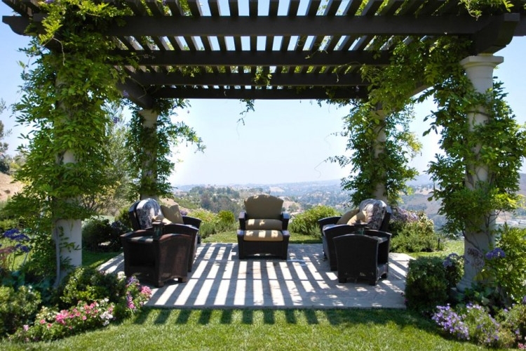 Plantes grimpantes pour pergola – 20 idées romantiques