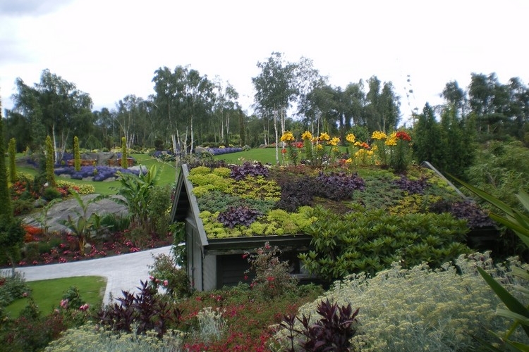 Jardin sur le toit –10 aspects à considérer pour un jardinage réussi
