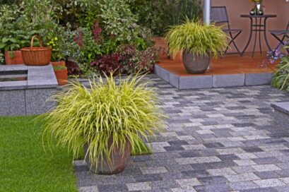 Quand planter les carex ? Comment et dans quel sol ? Nos conseils ...