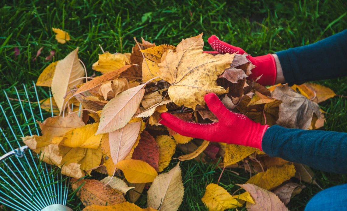 Astuces pour ramasser les feuilles mortes facilement et rapidement