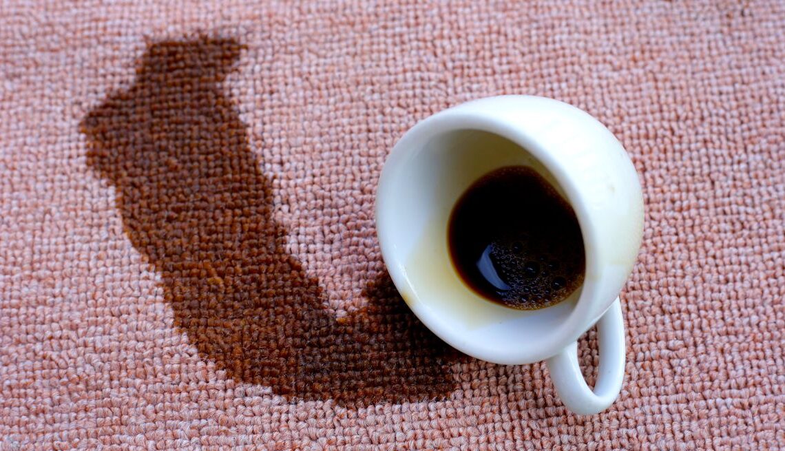 Tache De Cafe Tapis
